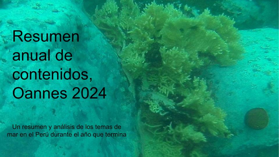 Annual summary of contents, Oannes 2024