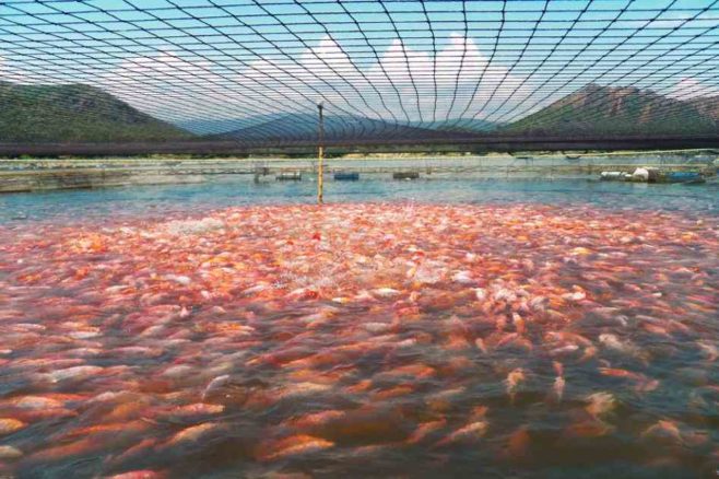 Detalle Noticias - Oannes