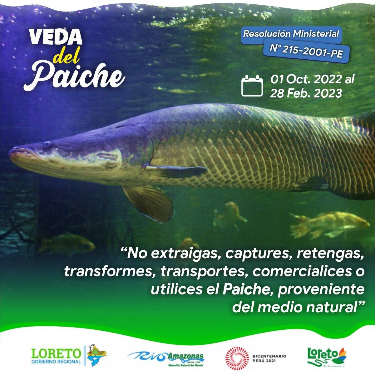 Detalle Noticias - Oannes