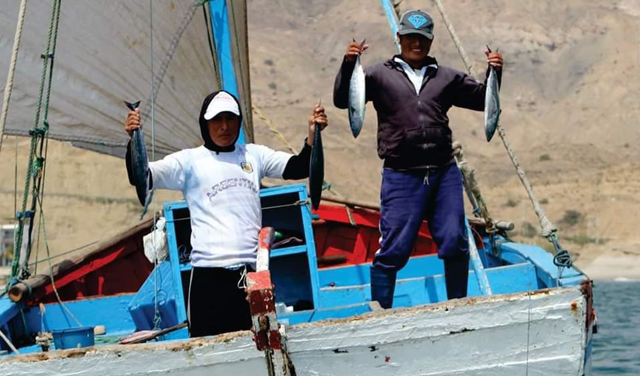 Perú - Congreso propone revalorar la pesca artesanal para garantizar su ...