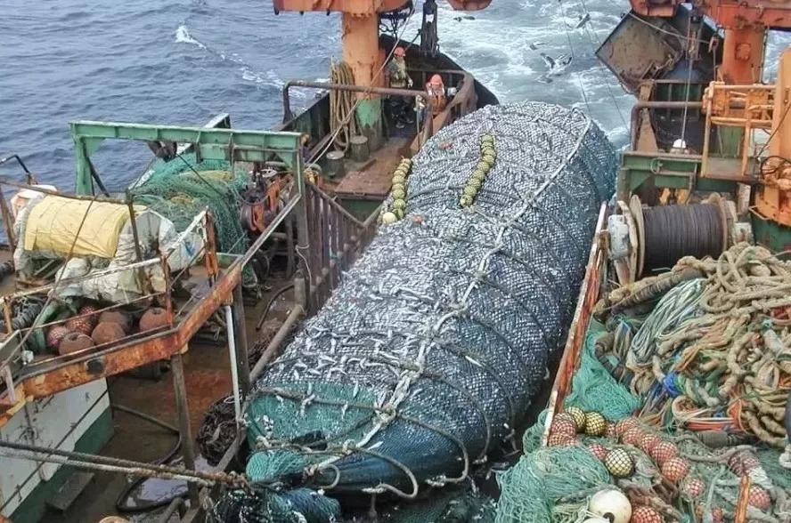 Argentina - Pesca: cuántas toneladas de merluza, polaca y vieira se ...