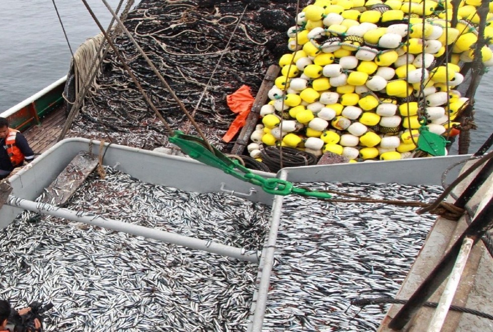 Detalle Noticias - Oannes