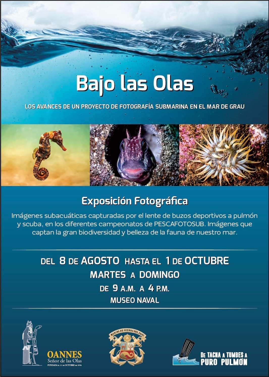 Perú - Oannes inaugura muestra de PescaFotoSub desde el 8 de agosto al ...